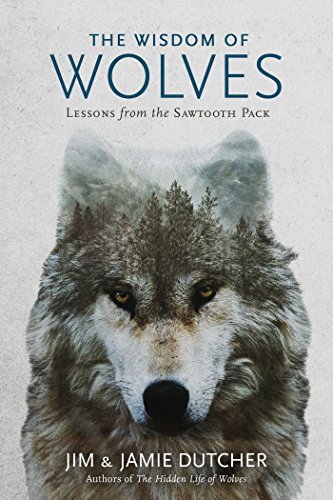 Book Review: The Wisdom of Wolves: Lessons from the Sawtooth Pack by ...